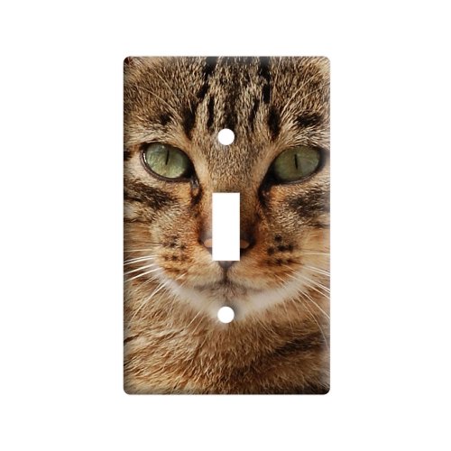 Cat Switch Plates | Kritters in the Mailbox | Cat Switch Plate