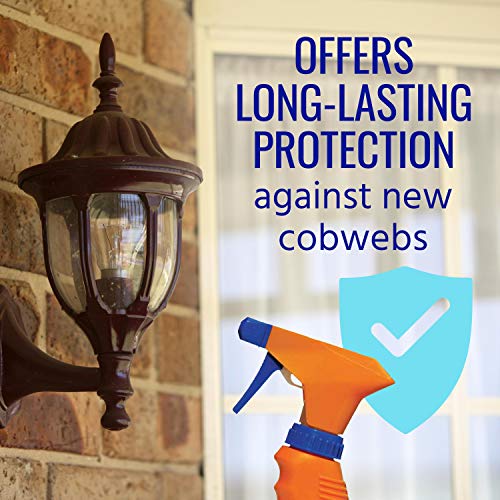 TERRO T2360 Ready-to-Use Spider Cobweb Eliminator and Repellent Spray ...