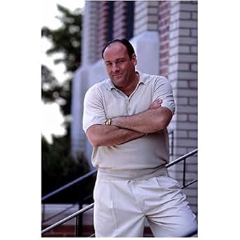 The Sopranos James Gandolfini as Tony Soprano Standing on Steps with ...