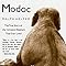 Modoc: The True Story of the Greatest Elephant That Ever Lived: Helfer ...