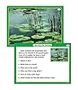 Super Duper Publications | Webber Inferencing Big Photo Flash Cards ...