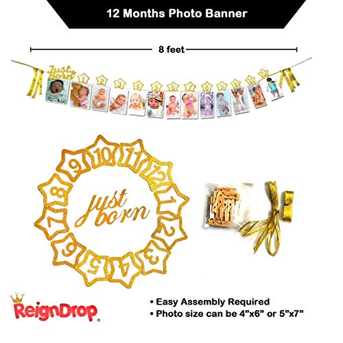 ReignDrop Baby Girl 1st Birthday Decorations Set – First Birthday Party ...