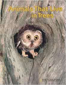 Animals That Live in Trees (Books for Young Explorers): McCauley, Jane ...