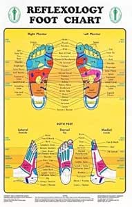 Amazon.com : Reflexology Foot Chart - Reflexology Zones Marked. 1 ...