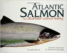Atlantic Salmon: An Illustrated Natural History: Greenhalgh, Dr ...