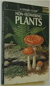 Non-Flowering Plants (A Golden Guide): Floyd Stephen Shuttleworth ...