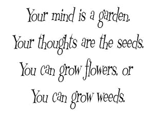 Amazon.com: Inspirational, Motivational Vinyl Wall Art Decal Sticker ...