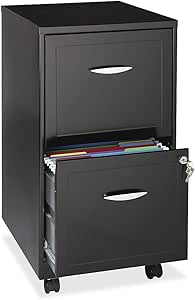 Amazon.com: Hirsh 2-Drawer SOHO Mobile File Cabinet, 18-Inch, Black ...