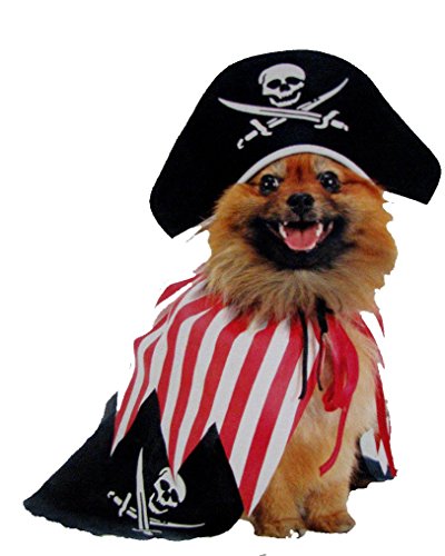 Pirate Dog Halloween Costumes - Best Costumes for Halloween