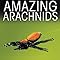 Amazing Arachnids: Cowles, Jillian: 9780691176581: Amazon.com: Books
