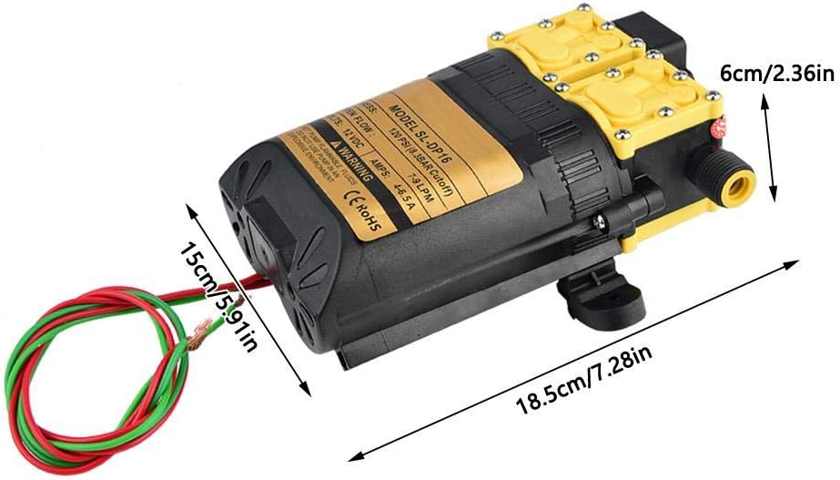 Fdit 12V DC Pump Sprayer High Pressure Water Pump for Lawn Garden ...