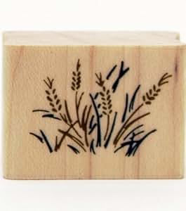 Amazon.com: Rubber Stampede - Prairie Grass Stamp: Everything Else