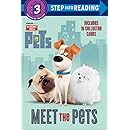 Amazon.com: Meet the Pets (Secret Life of Pets) (Step into Reading ...