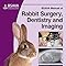 BSAVA Manual of Rabbit Imaging, Surgery and Dentistry (BSAVA British ...