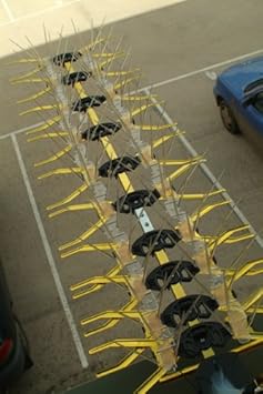 BirdBan Anti Perching Bird Spikes - Medium Aerial Protection Pack ...