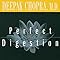 Perfect Digestion: The Key to Balanced Living (Perfect Health Library ...