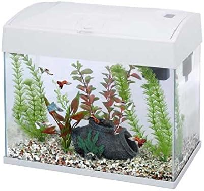 Fish 'R' Fun Rectangular Tank, 20 Litre Capacity, White: Amazon.co.uk ...