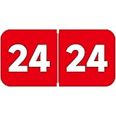 Amazon.com : Starboling 2024 Year Stickers,3/4 "x1-1/2" Pink Rectangle ...