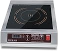 Amazon.com: Mai Cook Stainless Steel 3500W Electric Induction Cooktop ...
