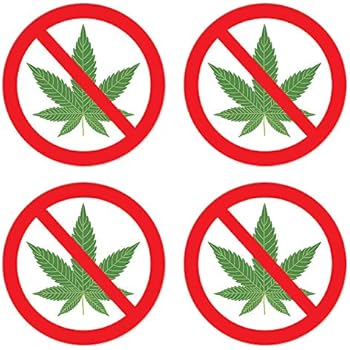 Amazon.com : dealzEpic - No Cannabis Symbol Sticker/Marijuana ...