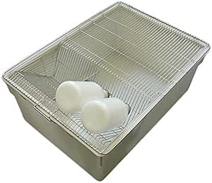 Amazon.com : SOBAKEN Big Apple Rodent Cage (Large) 21.5" L x 15.5" W x ...