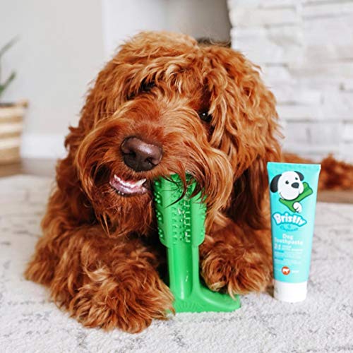 Bristly Natural Dog Toothpaste - Pre-Biotic Enzymatic Toothpaste for ...