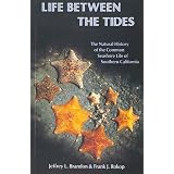 Life Between the Tides: Marine Plants and Animals of the Northeast ...