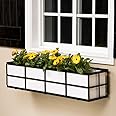 Amazon.com : 30 Inch Simple Elegance Window Box Cage with White PVC ...