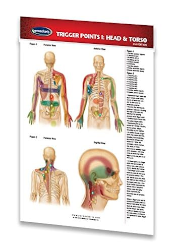 Trigger Points I: Head & Torso - Pocket Chart - Reflexology Quick ...