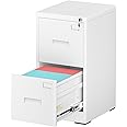 Amazon.com: INTERGREAT 2 Drawer File Cabinet, White Metal Filing ...