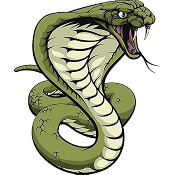 Amazon.com: Divine Designs Angry Olive Green Cobra Snake Vinyl Decal ...