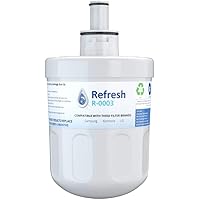 Amazon.com: Replacement For Samsung R-0003 Refrigerator Water Filter ...