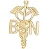 Amazon.com: NursingPin - Masters of Science in Nursing MSN Graduation ...