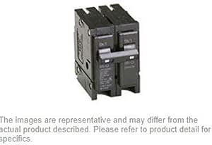 Eaton BR260 2" 60 Amp Double Pole Interchangeable Circuit Breaker ...