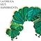 La oruga muy hambrienta/The Very Hungry Caterpillar: bilingual board ...