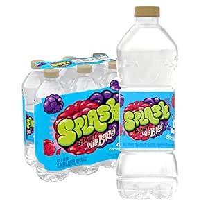 Amazon.com : Splash Blast, Flavored Water Beverage, Wild Berry Flavor, 16.9 Fl Oz Plastic ...