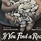 If You Find a Rock: Christian, Peggy: 0787721989288: Amazon.com: Books