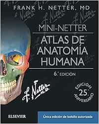 Mini-Netter. Atlas de anatomía humana, 6e : Netter, F.H.: Amazon.es: Libros