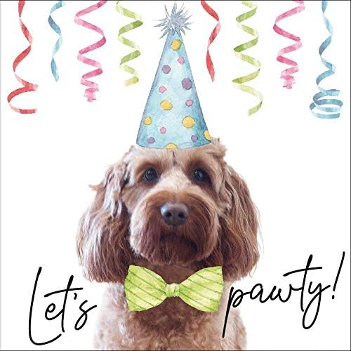 Cockapoo birthday card – BigaMart