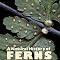 A Natural History of Ferns: Moran, Robbin C.: 9781604690620: Amazon.com ...