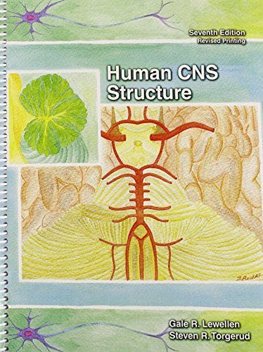 Human CNS Structure: 9781465216335: Medicine & Health Science Books ...