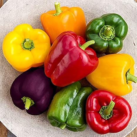 Amazon.com : Bell Pepper Mix of Colors Seeds for Planting Around 30 ...