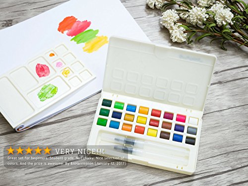 Top 7 Best Watercolor Sets For Beginners And Professionals