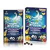 TOP GREATS Night Enzyme, Multiple Digestive Enzymes, Green Plum Enzymes ...