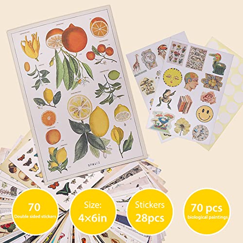 OUTMONLY Vintage Wall Collage Kit for Wall Aesthetic,70 pcs 4x6 inch ...