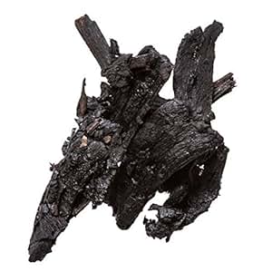 Amazon.com: Cistanche Tonic | Rou Cong Rong Chinese Herb - Effective to ...