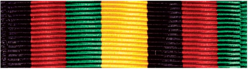 Amazon.com: Liberation Of Afghanistan Commemorative Ribbon: Clothing