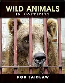Wild Animals in Captivity: Rob Laidlaw: 9781554553884: Amazon.com: Books