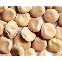 Amazon.com : 100 Seeds - Lupini Beans Seed "SWEET LUPINI" (Lupinus ...