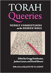 Torah Queeries: Weekly Commentaries on the Hebrew Bible: Drinkwater ...